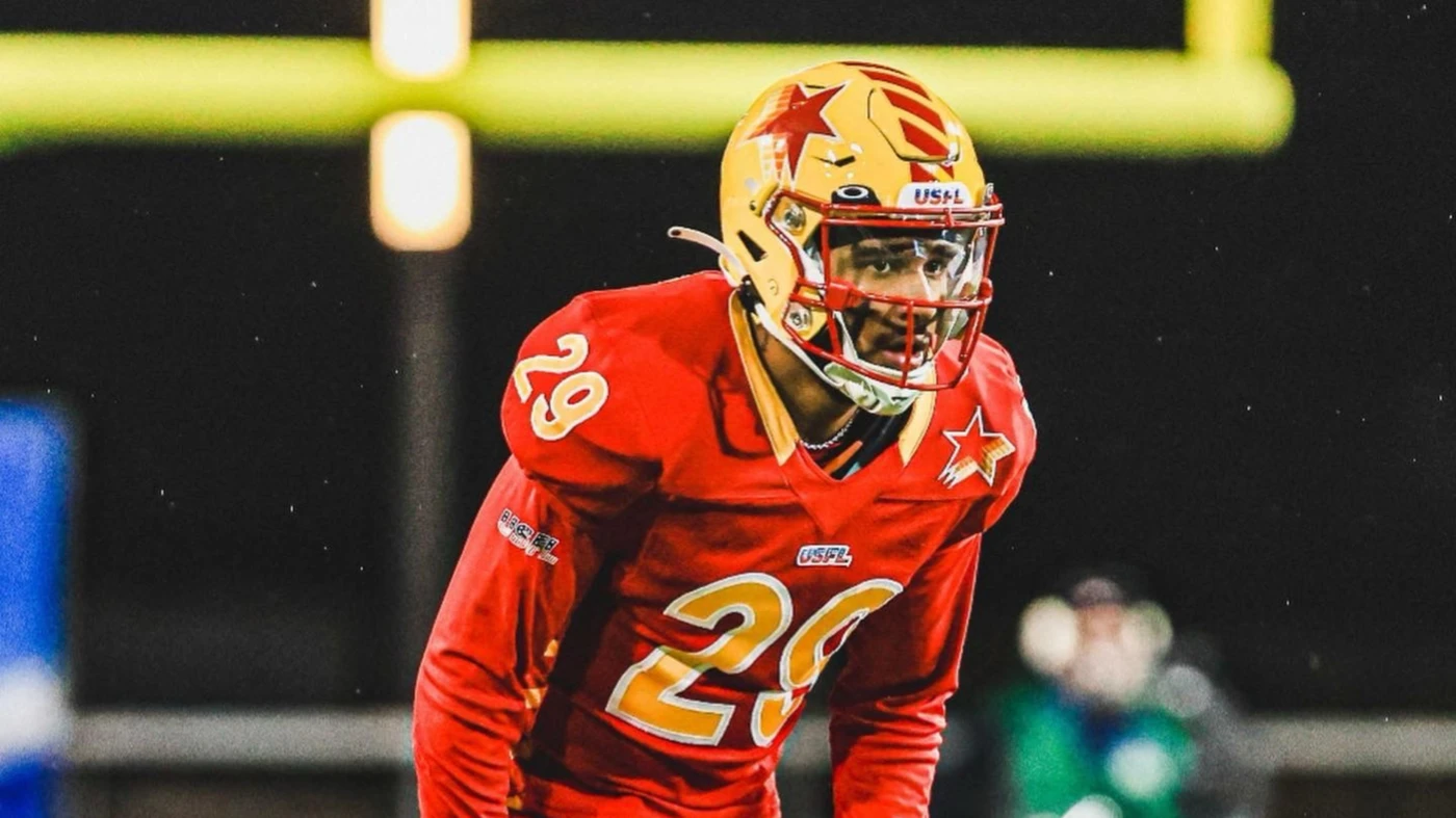 Vikings sign CFL & USFL veteran Dennis Amani - European League Football